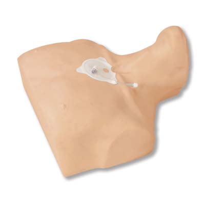 Life/Form Adult Sternal Intraosseous Infusion Simulator - LabWorld.co.uk